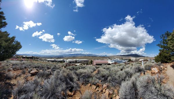 COUNTESS ANGELA DANDINI GARDENS - 19 Photos - 7000 Dandini Blvd, Reno ...