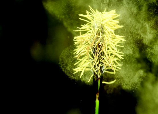 THE ALLERGY, ASTHMA & SINUS CENTER - Updated December 2025 - 27 Photos ...