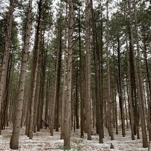 GRAND RAVINES NORTH COUNTY PARK - Updated May 2024 - 20 Photos - 9920 ...