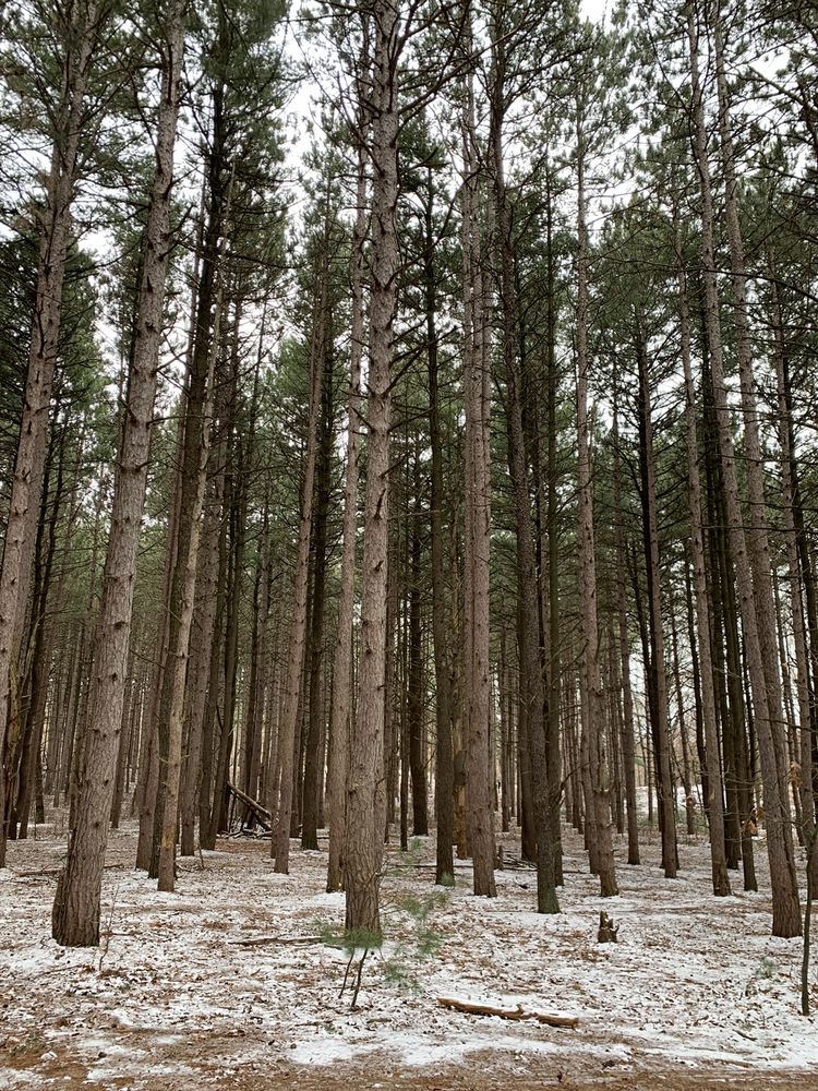 PROVIN TRAILS - Updated October 2024 - 29 Photos & 12 Reviews - 2900 4 ...