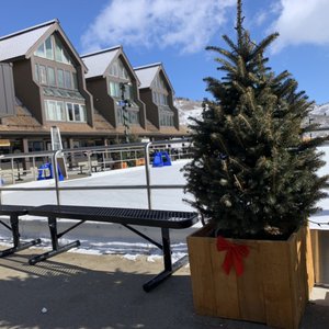 PARK CITY ICE ARENA - Updated April 2025 - 38 Photos - 600 Gillmor Way ...