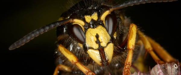 PMSI - Updated October 2025 - 13 Photos & 41 Reviews - 19980 Highland ...