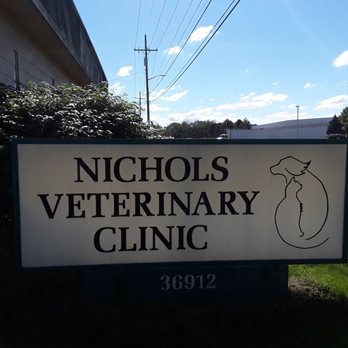 NICHOLS VETERINARY CLINIC - Updated May 2025 - 21 Photos & 65 Reviews ...