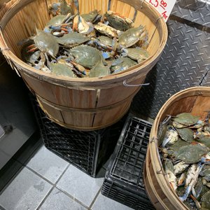 KINGS FISH & SEAFOOD MARKET - 56 Photos & 33 Reviews - 9104 Sutphin ...
