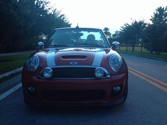 TOM BUSH MINI - Updated December 2025 - 33 Photos & 72 Reviews - 9881 ...