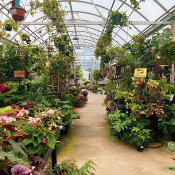 SEASONS NURSERY - Updated January 2025 - 73 Photos & 70 Reviews - 8135 ...