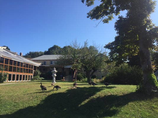 PROVIDENCE ZEN CENTER - 26 Photos - 99 Pound Rd, Cumberland, Rhode ...