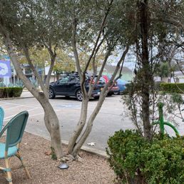 ELIZABETH STREET CAFE - Updated September 2024 - 1629 Photos & 1682 ...