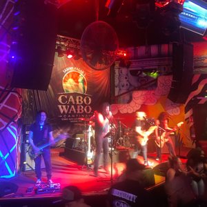 CABO WABO - 784 Photos & 410 Reviews - Col. Centro, Cabo San Lucas ...