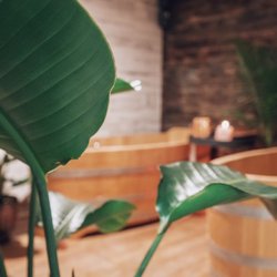 PIVA BEER SPA - 37 Photos & 31 Reviews - Halotherapy - 1052 N Milwaukee ...