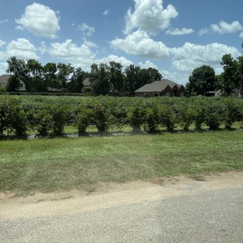 ATKINSON FARM - Updated December 2025 - 167 Photos & 74 Reviews - 3217 ...