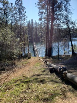 LAKE TABEAUD - 13 Photos - Tabeaud Rd, Jackson, California - Hiking - Yelp