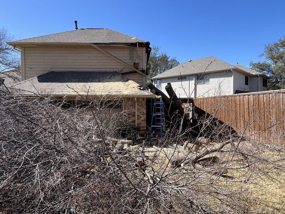 MAX TREE SERVICE - Updated July 2025 - 15 Photos - Garland, Texas ...