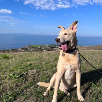 WHITE POINT NATURE PRESERVE - Updated December 2025 - 294 Photos & 35 ...