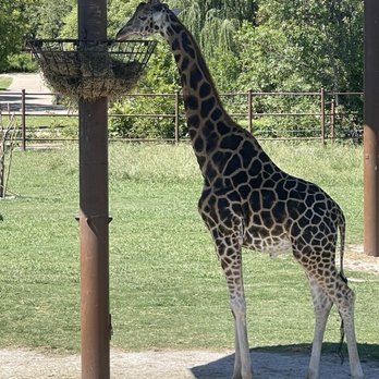 TULSA ZOO - Updated July 2025 - 529 Photos & 142 Reviews - 6421 E 36th ...