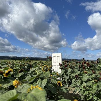 STOCKER FARMS - Updated October 2025 - 198 Photos & 133 Reviews - 8705 ...