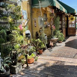 BACKSTREET - Updated July 2025 - 395 Photos & 548 Reviews - 3735 Nelson ...