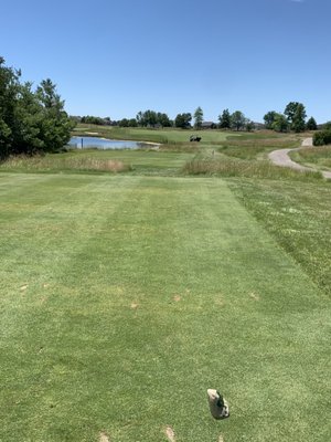 GOLF CLUB OF DUBLIN - Updated November 2025 - 22 Photos & 46 Reviews ...