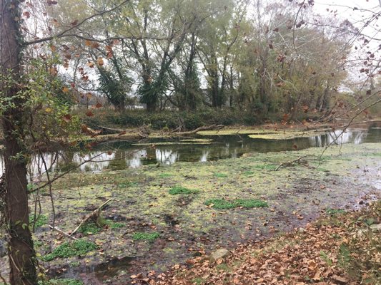 ROY LAUGHLIN PARK - Updated December 2025 - Rte 66, Waynesville ...