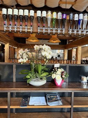 HACHI - Updated May 2025 - 117 Photos & 24 Reviews - 580 SW 12th Ave ...