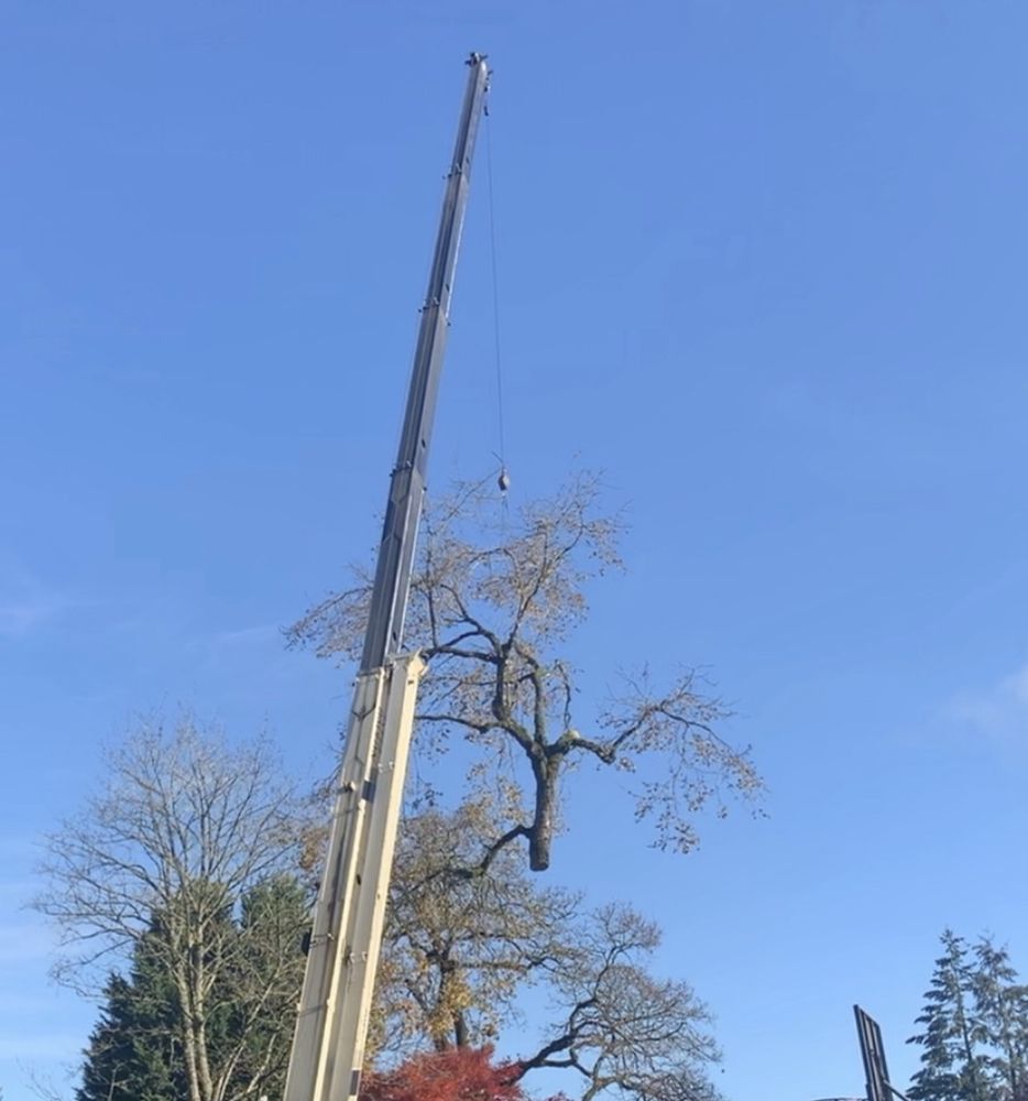 JOE GRAB TREE SERVICE - Updated December 2025 - 73 Photos & 66 Reviews ...