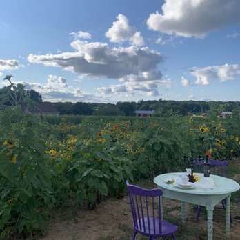 WICKHAM FARMS - Updated September 2025 - 321 Photos & 80 Reviews - 1315 ...