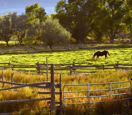 TURN-ABOUT RANCH - Updated August 2025 - 18 Reviews - 280 N 300th E ...