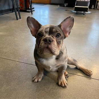 CROOKS & KINGS BARBER - Updated October 2025 - 38 Photos & 44 Reviews ...