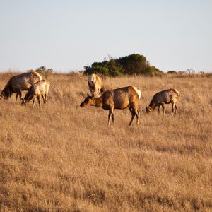 PALACE MARKET - 110 Photos & 161 Reviews - 11300 Shoreline Hwy, Point ...