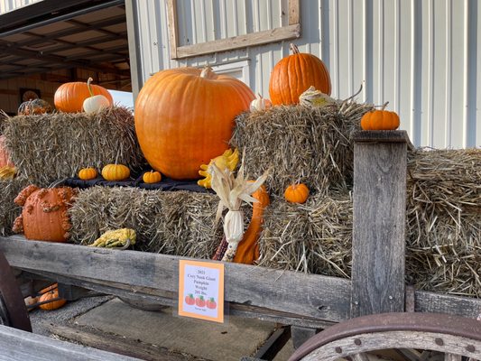 COZY NOOK FARM - Updated August 2025 - 61 Photos - S11W30780 Summit Ave ...