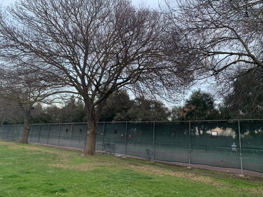 WILLOW STREET FRANK BRAMHALL PARK - 103 Photos & 51 Reviews - Parks ...