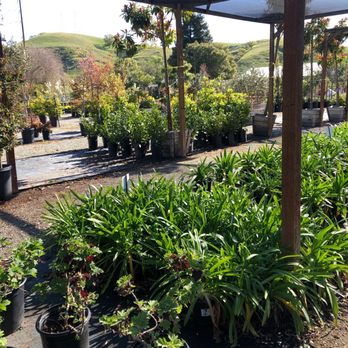 CALAVERAS NURSERY - Updated October 2025 - 121 Photos & 63 Reviews ...
