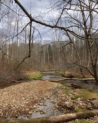 SAUNDERS SPRINGS NATURE PRESERVE - 125 Photos & 23 Reviews - N Wilson ...