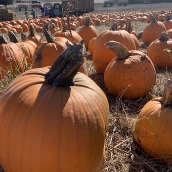 RODONI FARMS - Updated January 2026 - 151 Photos & 34 Reviews - 4444 ...