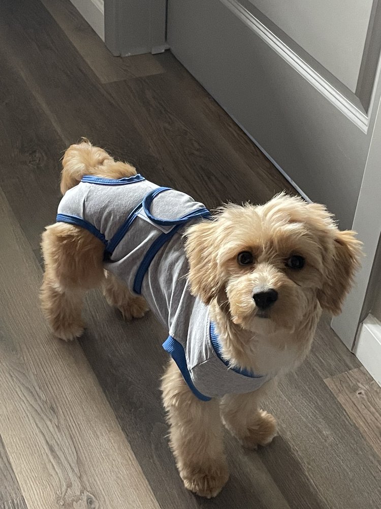 BARRETT STATION VETERINARY CLINIC - Updated June 2024 - 30 Reviews ...