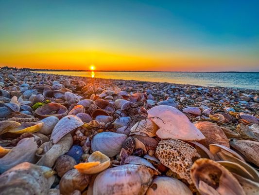 CONIMICUT POINT PARK - Updated January 2026 - 81 Photos & 23 Reviews ...
