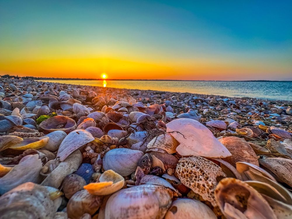 CONIMICUT POINT PARK - Updated January 2026 - 81 Photos & 23 Reviews ...