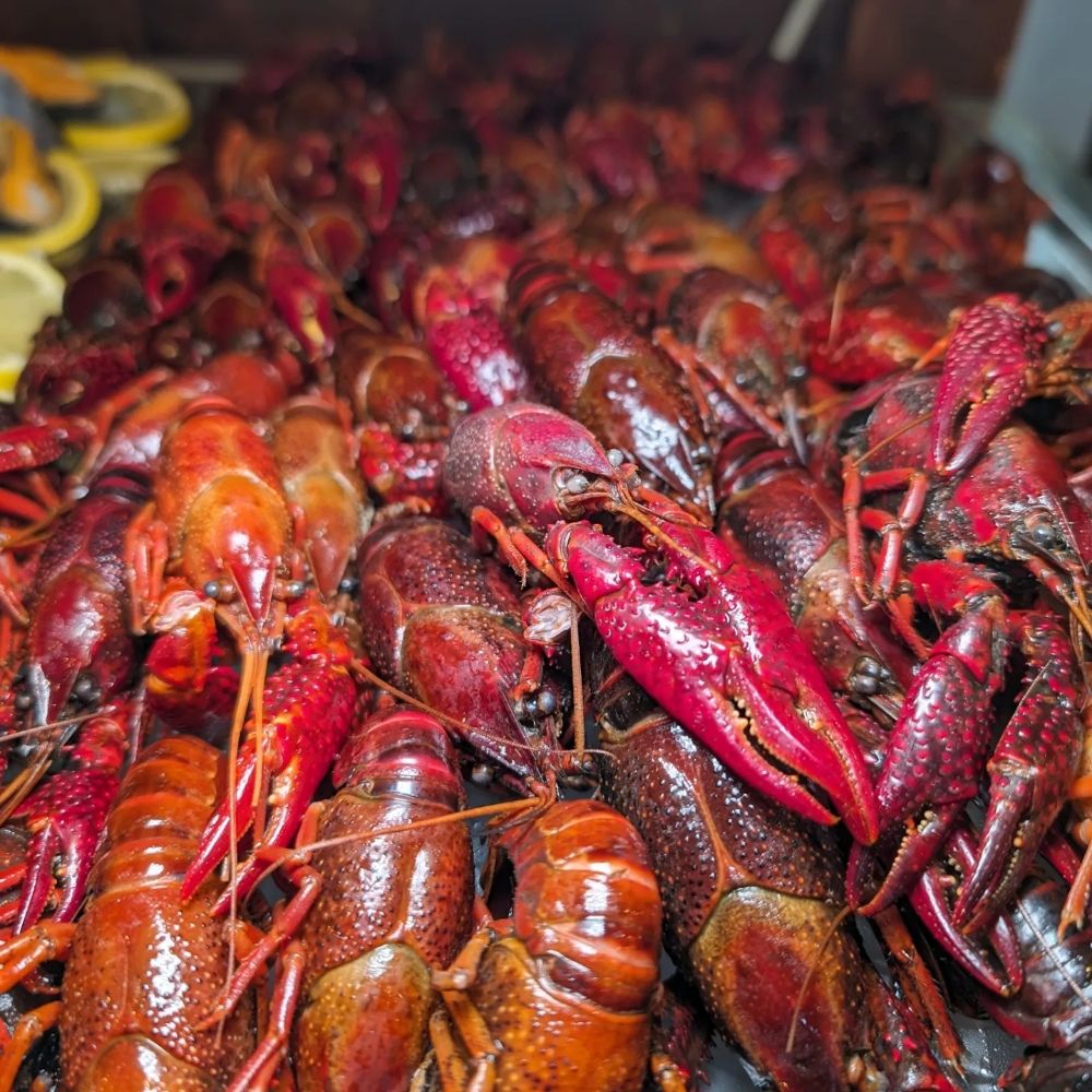 CRAB DADDY’S CALABASH SEAFOOD BUFFET - Updated November 2024 - 159 ...