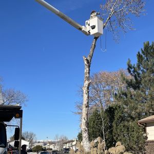 ST. VRAIN BLOCK COMPANY - Updated November 2024 - 47 Photos - 5150 ...