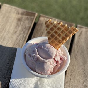 BO’S ICE CREAM - 143 Photos & 220 Reviews - Ice Cream & Frozen Yogurt ...