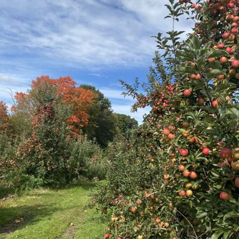 CIDER HILL FARM - Updated September 2025 - 404 Photos & 282 Reviews ...