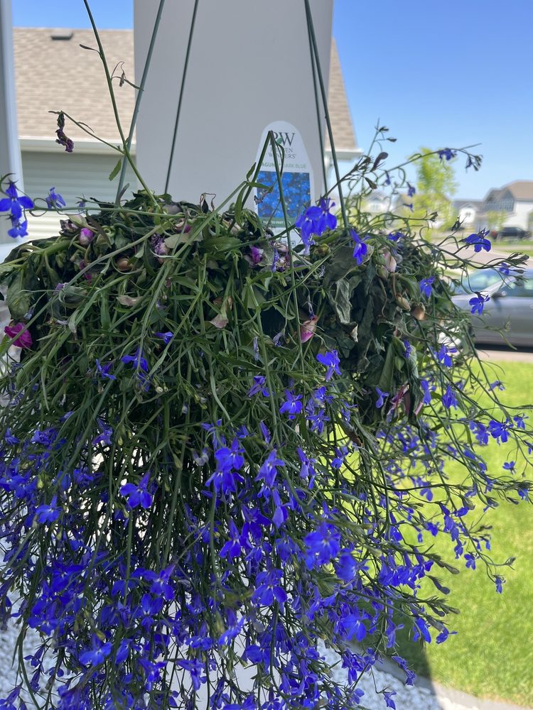 101 MARKET - Updated December 2025 - 20 Photos & 10 Reviews - 8980 ...