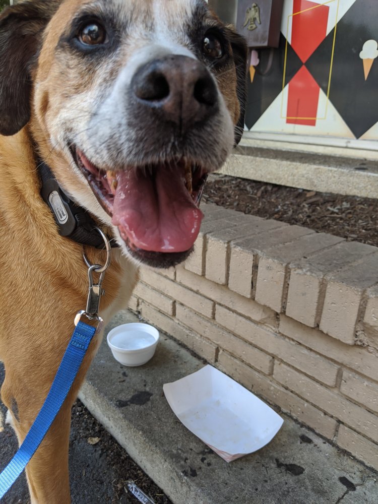 MAYBERRY RESTAURANT & ICE CREAM CREATIONS - Updated June 2024 - 33 ...