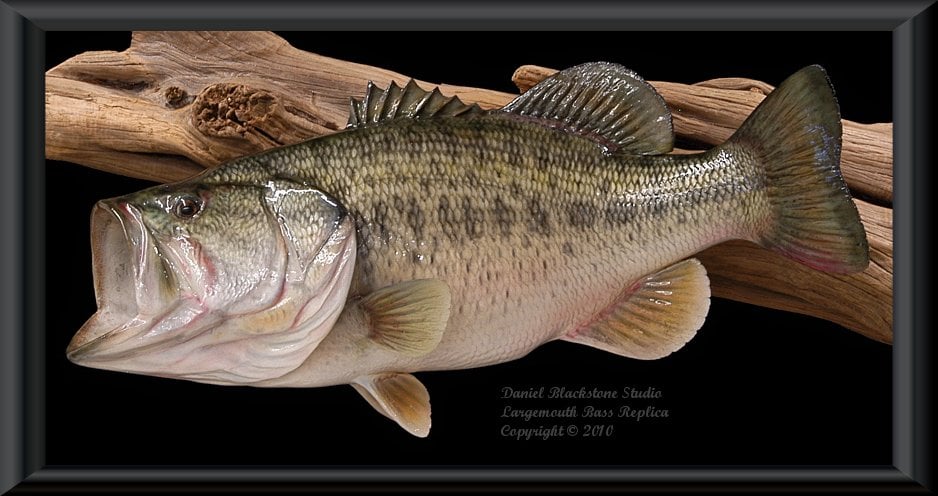 DANIEL BLACKSTONE STUDIO - Updated July 2025 - Sarasota, Florida ...