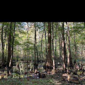 STUMPY LAKE NATURAL AREA - Updated October 2025 - 248 Photos & 20 ...