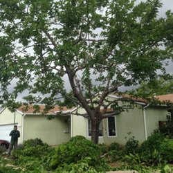 ALL ACCESS TREE CARE - 148 Photos & 190 Reviews - Tree Services - 289 ...
