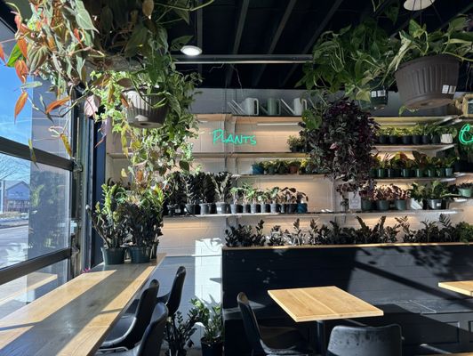 PURE ROOTS - Updated November 2025 - 25 Photos & 13 Reviews - 180 ...