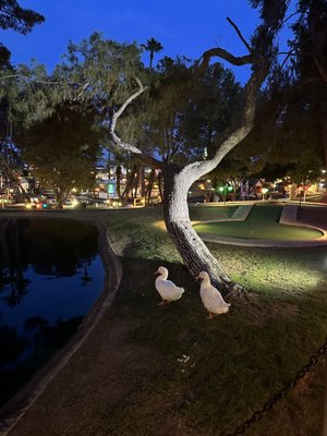 GOLF N’ STUFF - Updated August 2025 - 208 Photos & 167 Reviews - 6503 E ...