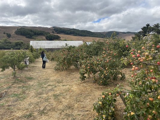 CHILENO VALLEY RANCH - Updated September 2024 - 61 Photos & 31 Reviews ...