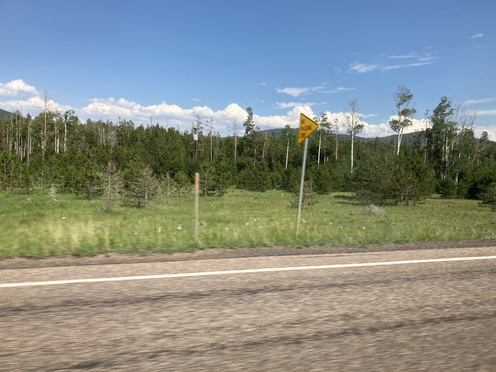 FLAMING GORGE RESORT - Updated July 2025 - 21 Photos & 28 Reviews ...
